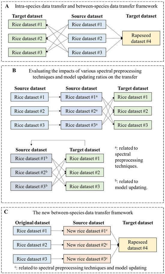 Optimized Transfer Learning for Chlorophyll Content Estimations across Datasets of Different ...