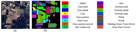 Remote Sensing | Free Full-Text | Hyperspectral Image Classification Based on Two-Branch ...