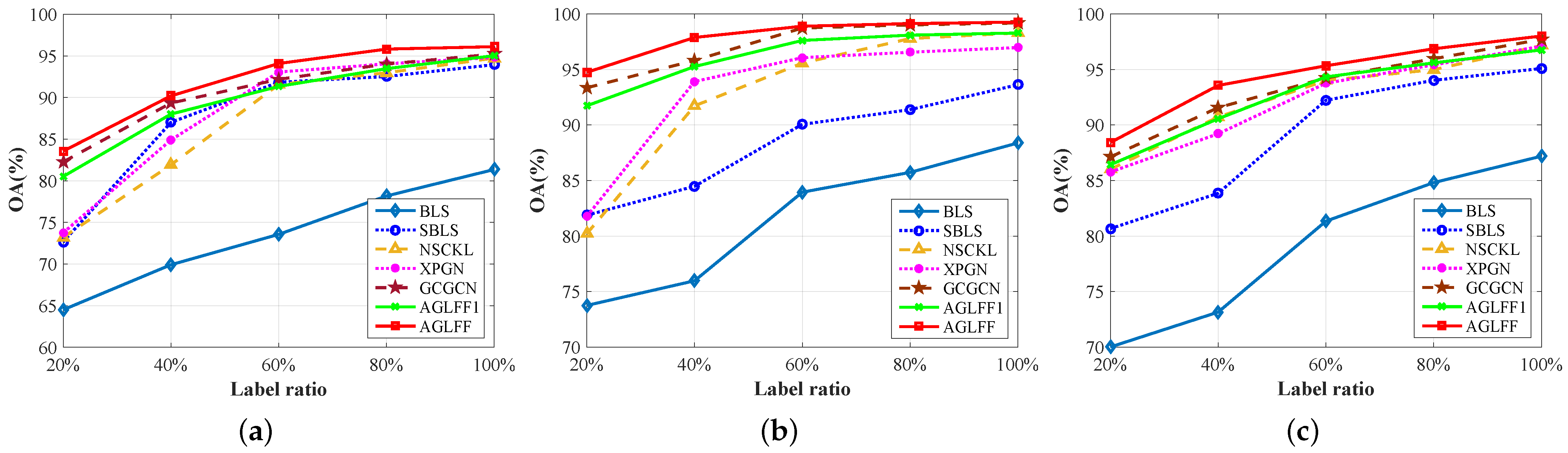 Hyperspectral Image Classification Based on Adaptive Global–Local Feature Fusion