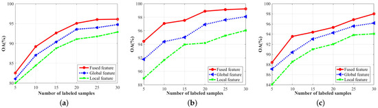 Hyperspectral Image Classification Based on Adaptive Global–Local Feature Fusion