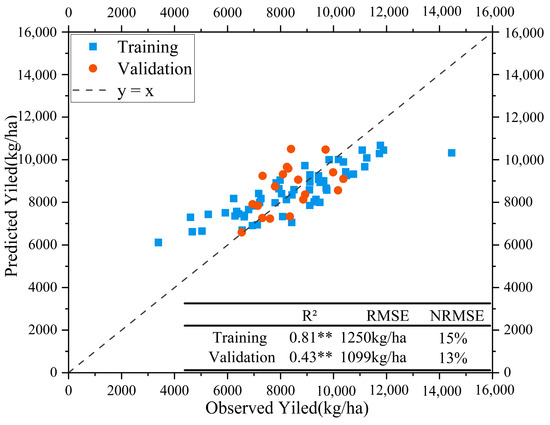 Time Phase Selection and Accuracy Analysis for Predicting Winter Wheat ...