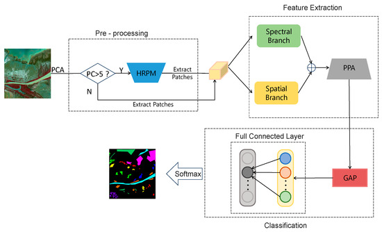 A New Dual-Branch Embedded Multivariate Attention Network for Hyperspectral Remote Sensing ...