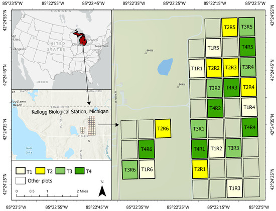 Retrieval of Crop Canopy Chlorophyll: Machine Learning vs. Radiative ...