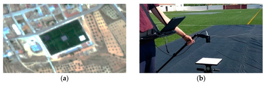 Remote Sensing | Free Full-Text | Hyperspectral Leaf Area Index and Chlorophyll Retrieval over ...