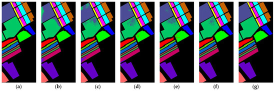 Improving Hyperspectral Image Classification with Compact Multi-Branch ...