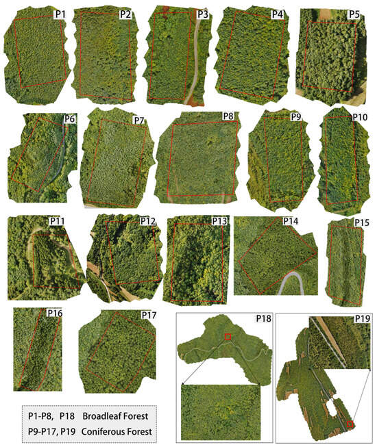 Improved Identification of Forest Types in the Loess Plateau Using ...