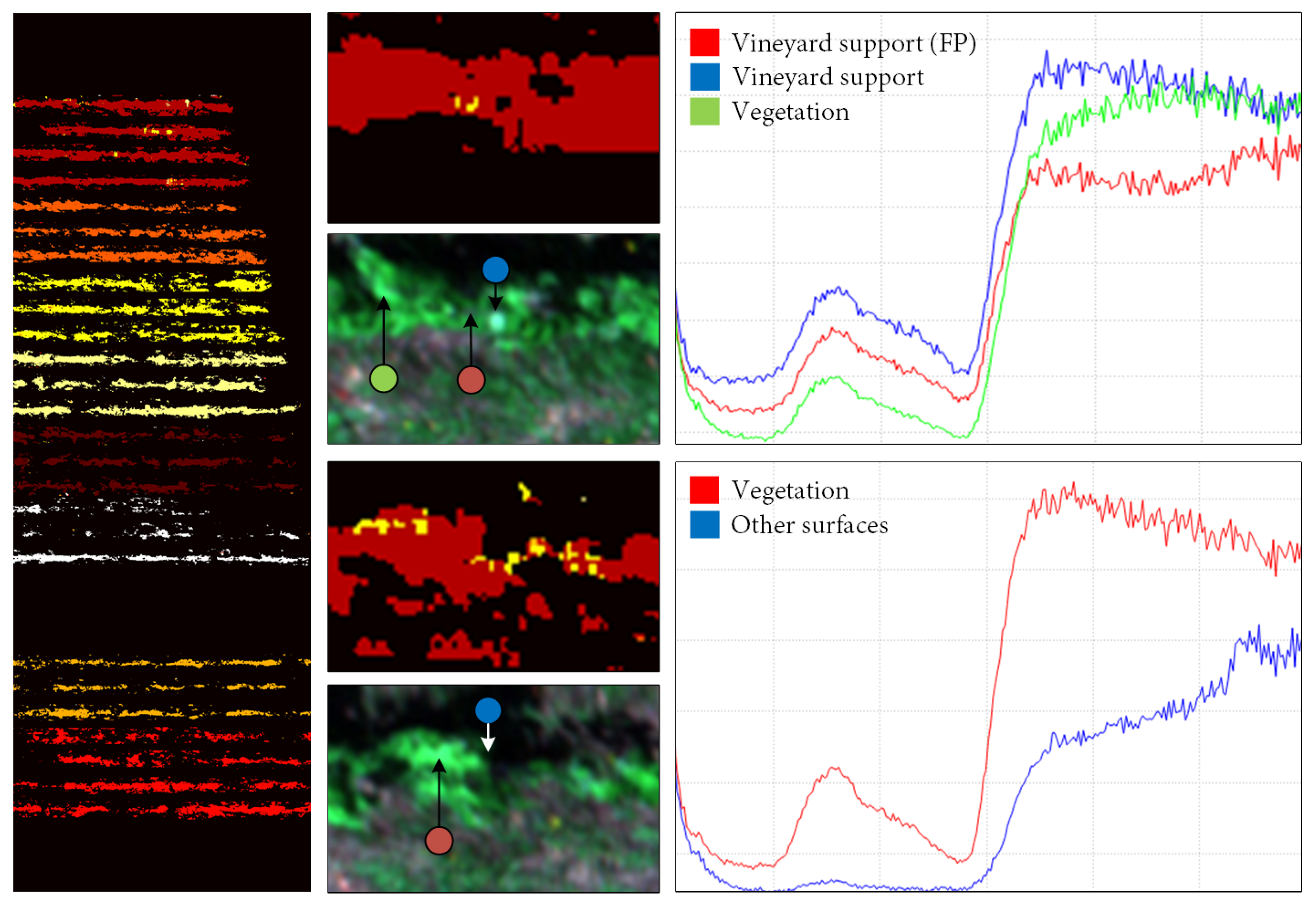 Classification of Grapevine Varieties Using UAV Hyperspectral Imaging