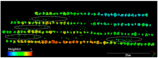 Dynamic Slicing and Reconstruction Algorithm for Precise Canopy Volume ...