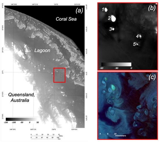 A First Look at Internal Waves in the Great Barrier Reef Lagoon