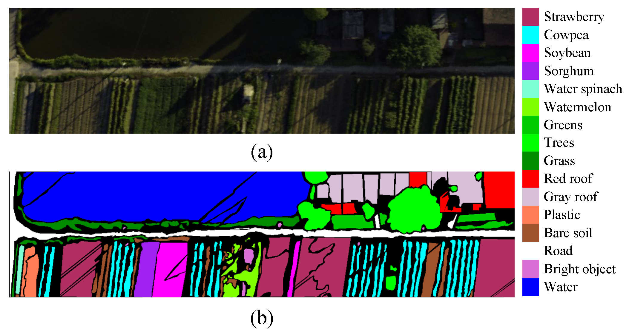 Hyperspectral Image Classification Based on Multi-Scale Convolutional Features and Multi ...