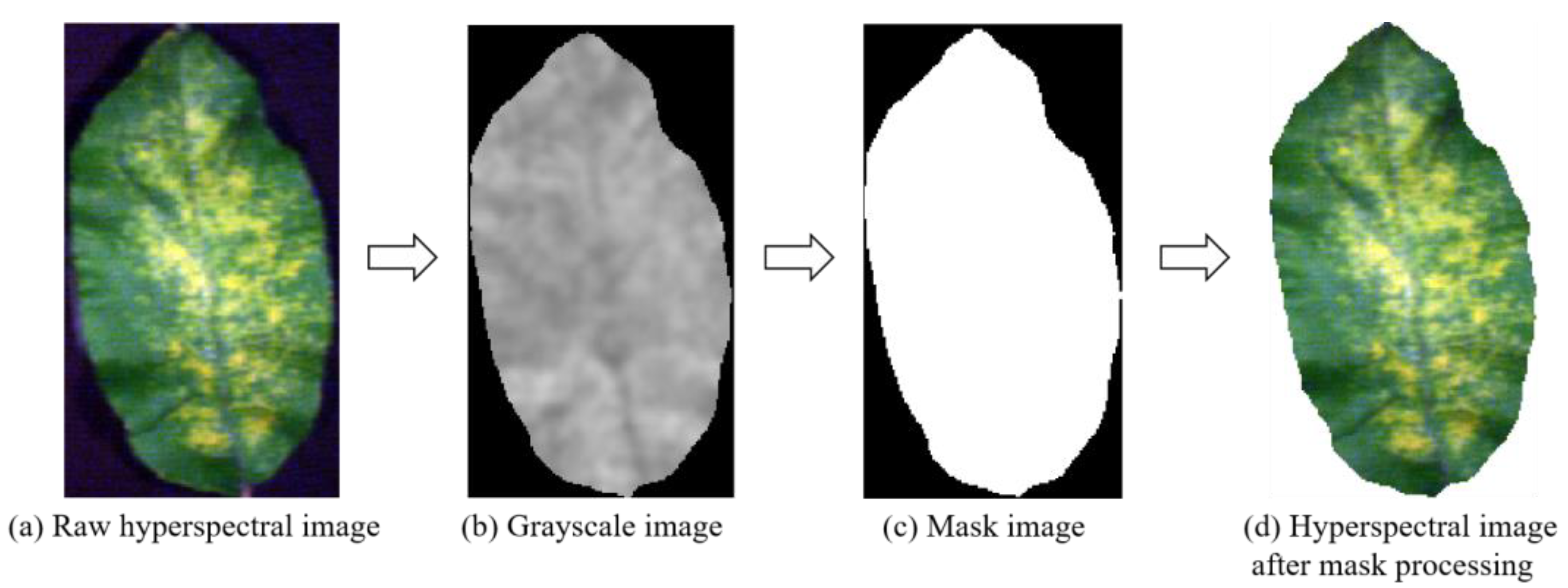 Remote Sensing | Free Full-Text | Estimation of Chlorophyll Content in Apple Leaves Infected ...
