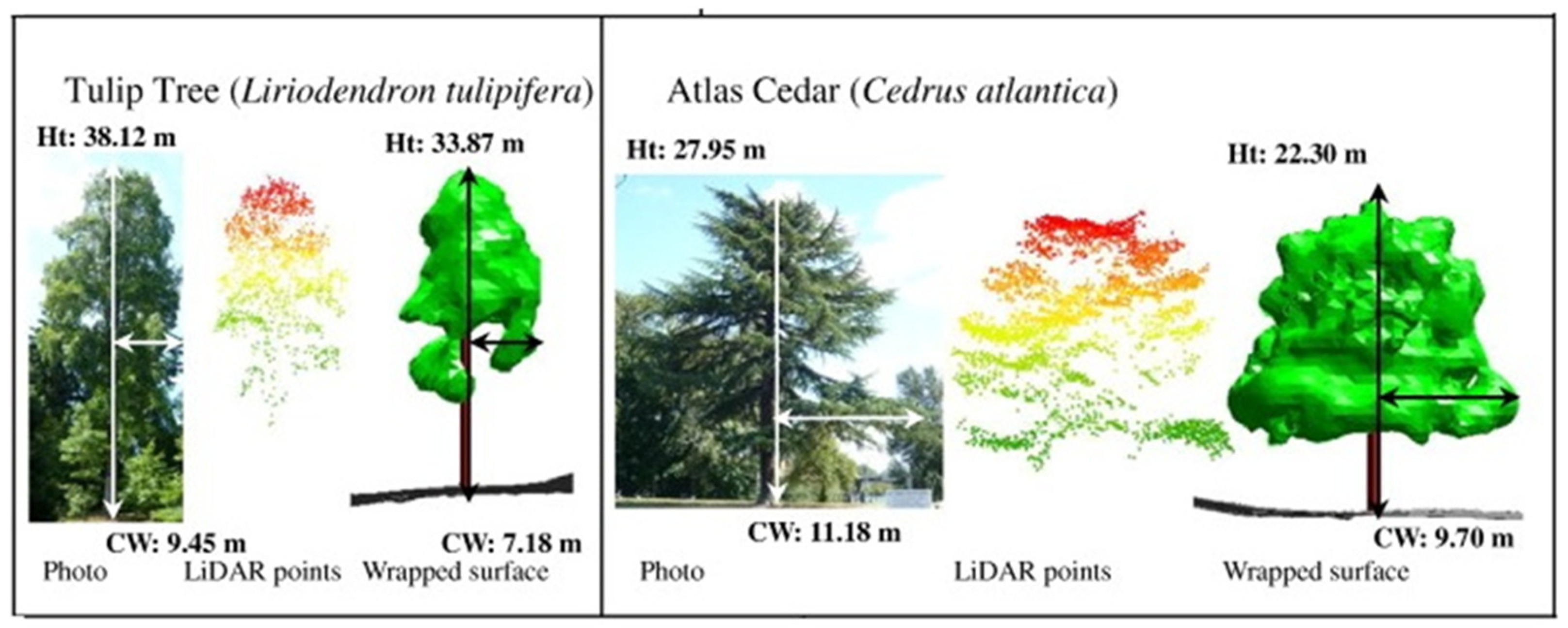 Accurate Calculation of Upper Biomass Volume of Single Trees Using ...