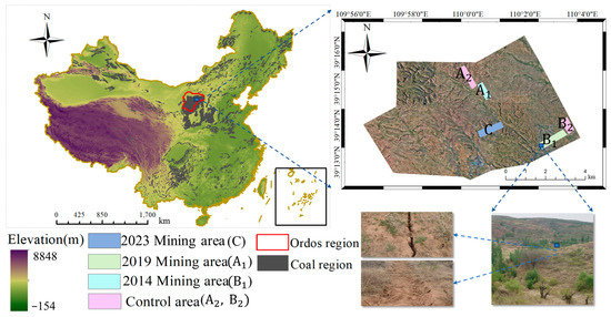 Assessing Ecological Impacts and Recovery in Coal Mining Areas: A ...