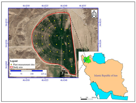 Remote Sensing | Free Full-Text | Monitoring Biophysical Variables (FVC, LAI, LCab, and CWC) and ...