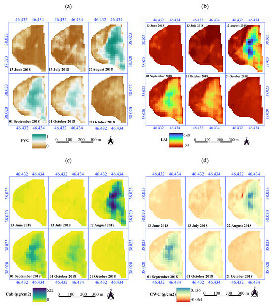 Remote Sensing | Free Full-Text | Monitoring Biophysical Variables (FVC, LAI, LCab, and CWC) and ...