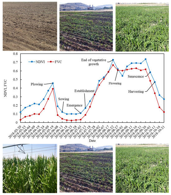 Remote Sensing | Free Full-Text | Monitoring Biophysical Variables (FVC, LAI, LCab, and CWC) and ...