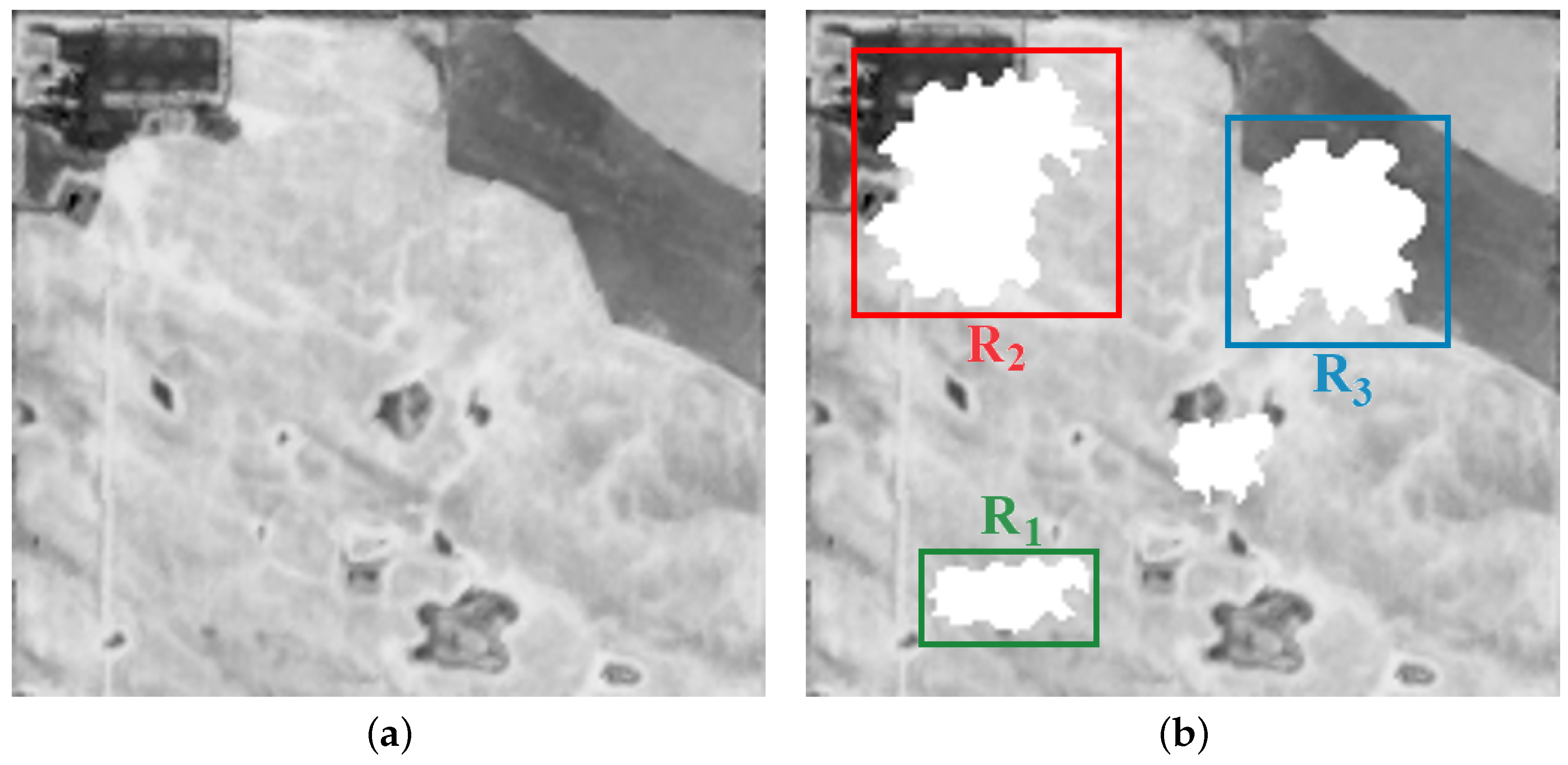Variational-Based Spatial–Temporal Approximation of Images in Remote Sensing