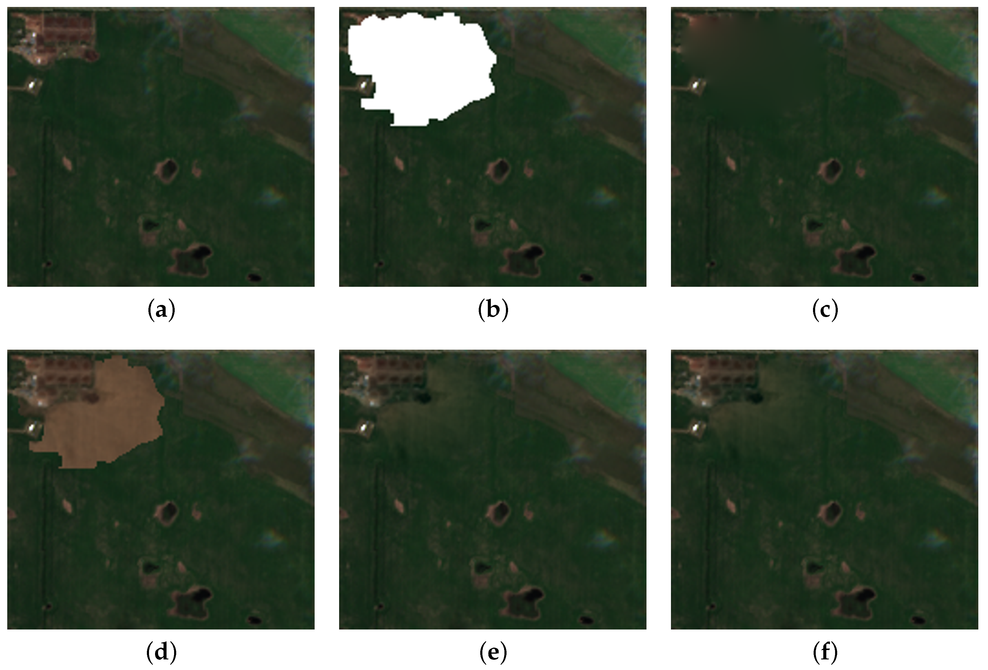 Variational Based Spatialtemporal Approximation Of Images In Remote Sensing