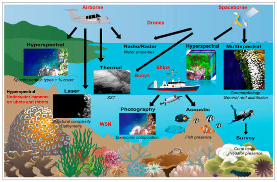 Monitoring Water Diversity and Water Quality with Remote Sensing and Traits