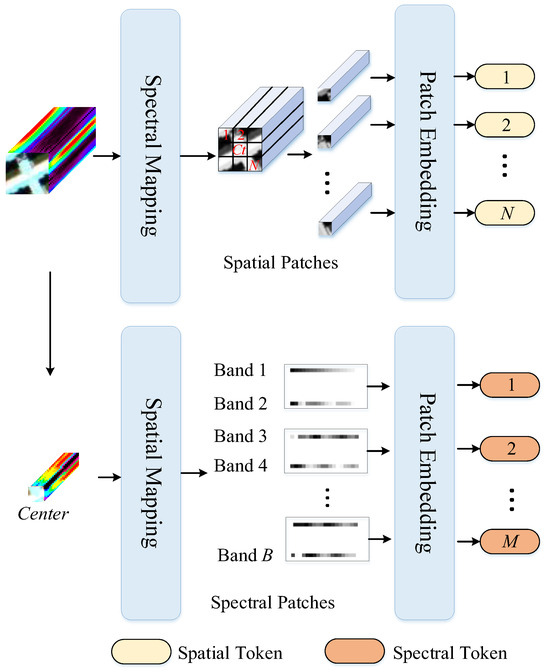 Spectral-Spatial Mamba for Hyperspectral Image Classification
