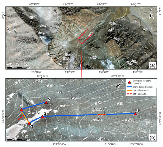 Drone-Based Ground-Penetrating Radar with Manual Transects for Improved ...