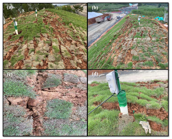 Prediction of Deformation in Expansive Soil Landslides Utilizing AMPSO-SVR