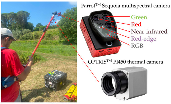 Remote Sensing | Free Full-Text | Multispectral, Thermographic and ...