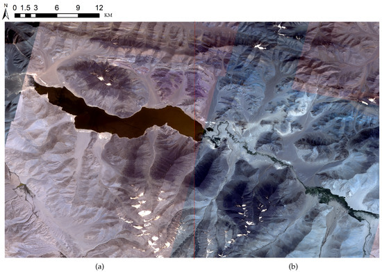RSWFormer: A Multi-Scale Fusion Network from Local to Global with ...