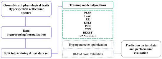 Predicting Grapevine Physiological Parameters Using Hyperspectral Remote Sensing Integrated with ...