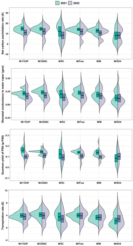 Predicting Grapevine Physiological Parameters Using Hyperspectral Remote Sensing Integrated with ...