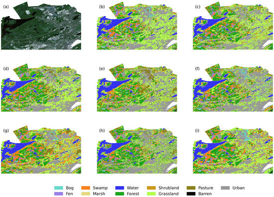 Remote Sensing | Free Full-Text | Wet-ConViT: A Hybrid Convolutional–Transformer Model for ...