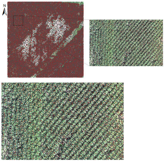 Detection of Individual Corn Crop and Canopy Delineation from Unmanned ...