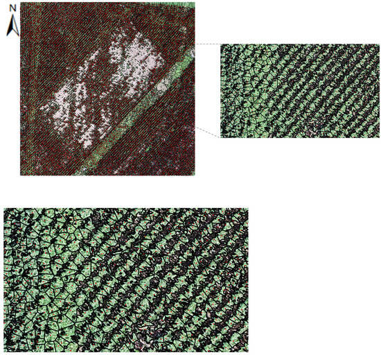 Detection of Individual Corn Crop and Canopy Delineation from Unmanned ...