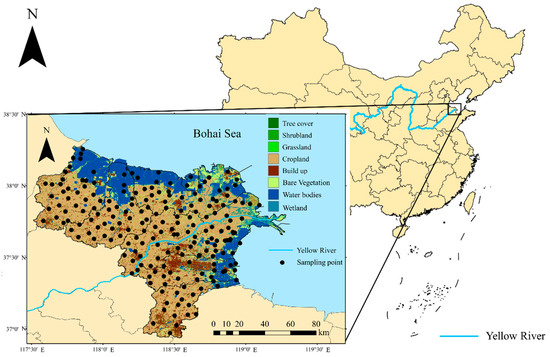 Digital Mapping and Scenario Prediction of Soil Salinity in Coastal ...