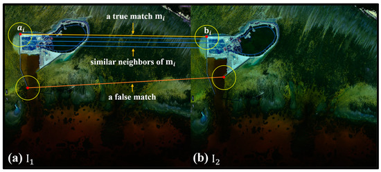 Weak-Texture Seafloor and Land Image Matching Using Homography-Based Motion Statistics with ...
