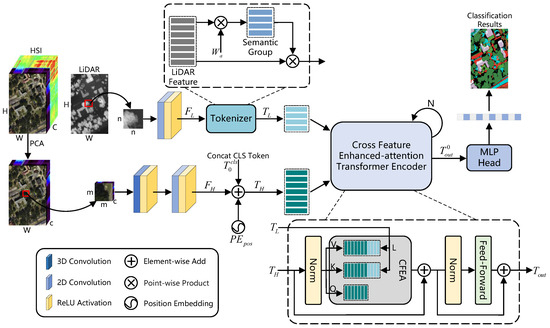 Multi-Feature Cross Attention-Induced Transformer Network for Hyperspectral and LiDAR Data ...