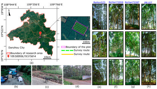 Remote Sensing | Free Full-Text | Synergizing a Deep Learning and ...