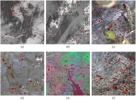 Rational Polynomial Coefficient Estimation via Adaptive Sparse PCA-Based Method
