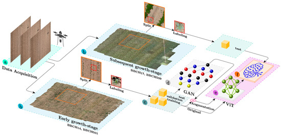 Remote Sensing | Free Full-Text | Cognitive Computing Advancements: Improving Precision Crop ...
