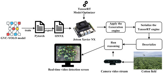 GVC-YOLO: A Lightweight Real-Time Detection Method for Cotton Aphid-Damaged Leaves Based on Edge ...