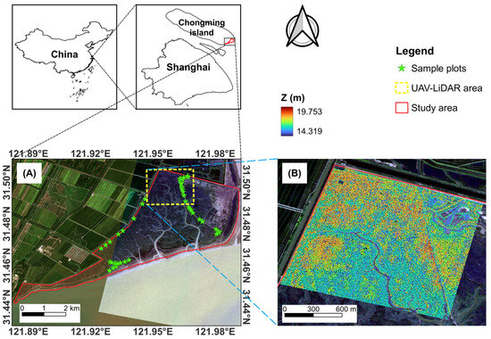 Synergy of UAV-LiDAR Data and Multispectral Remote Sensing Images for ...