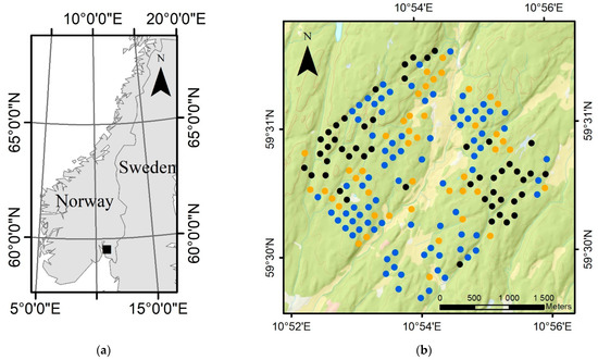 Effect of Albedo Footprint Size on Relationships between Measured ...