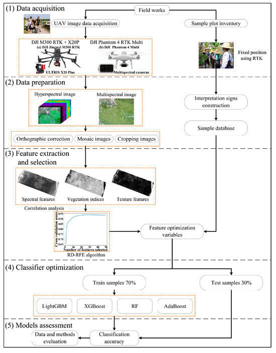 Remote Sensing | Free Full-Text | Fine-Scale Mangrove Species ...