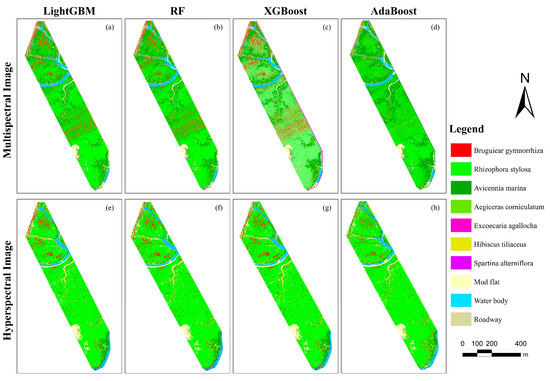 Remote Sensing | Free Full-Text | Fine-Scale Mangrove Species ...