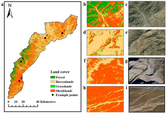 Mapping Shrub Biomass at 10 m Resolution by Integrating Field ...