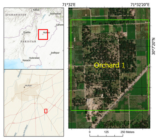 High-Precision Mango Orchard Mapping Using a Deep Learning Pipeline Leveraging Object Detection ...