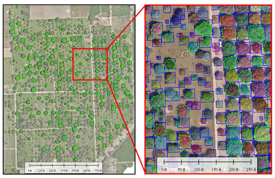 High-Precision Mango Orchard Mapping Using a Deep Learning Pipeline ...