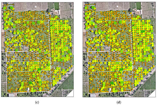 High-Precision Mango Orchard Mapping Using a Deep Learning Pipeline Leveraging Object Detection ...