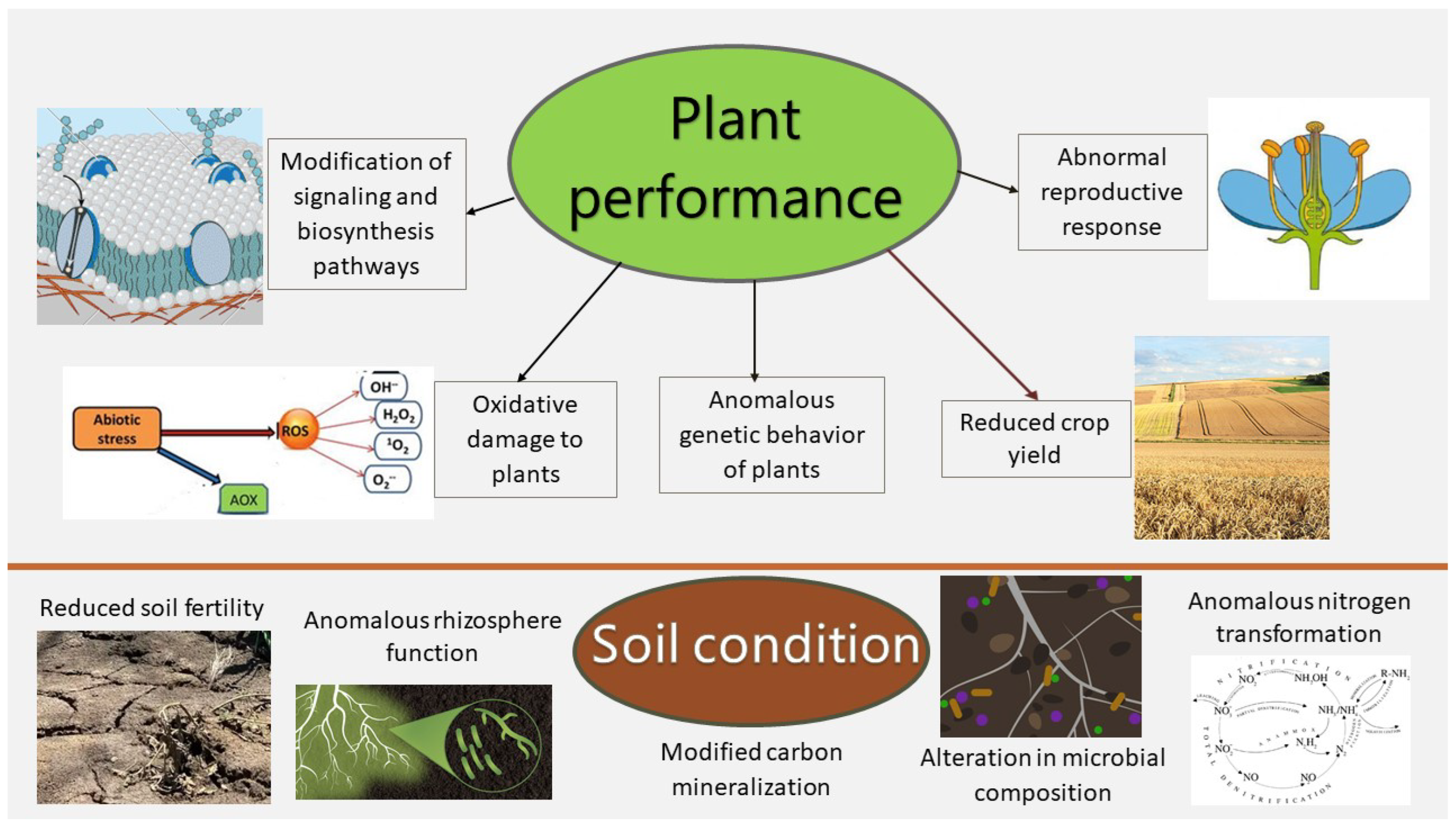 Monitoring Heavy Metals and Metalloids in Soils and Vegetation by ...