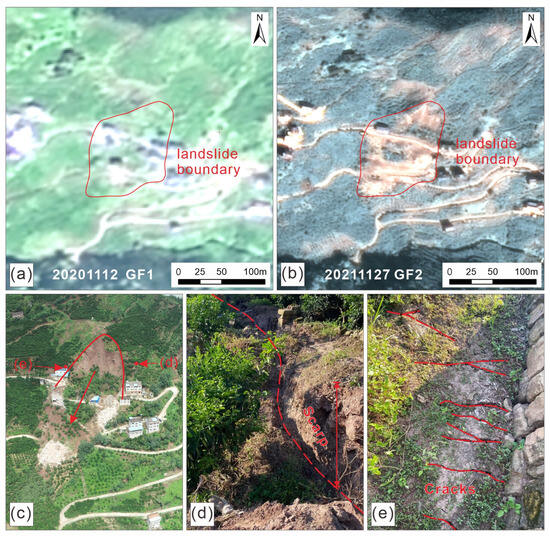 InSAR-Driven Dynamic Landslide Hazard Mapping in Highly Vegetated Area